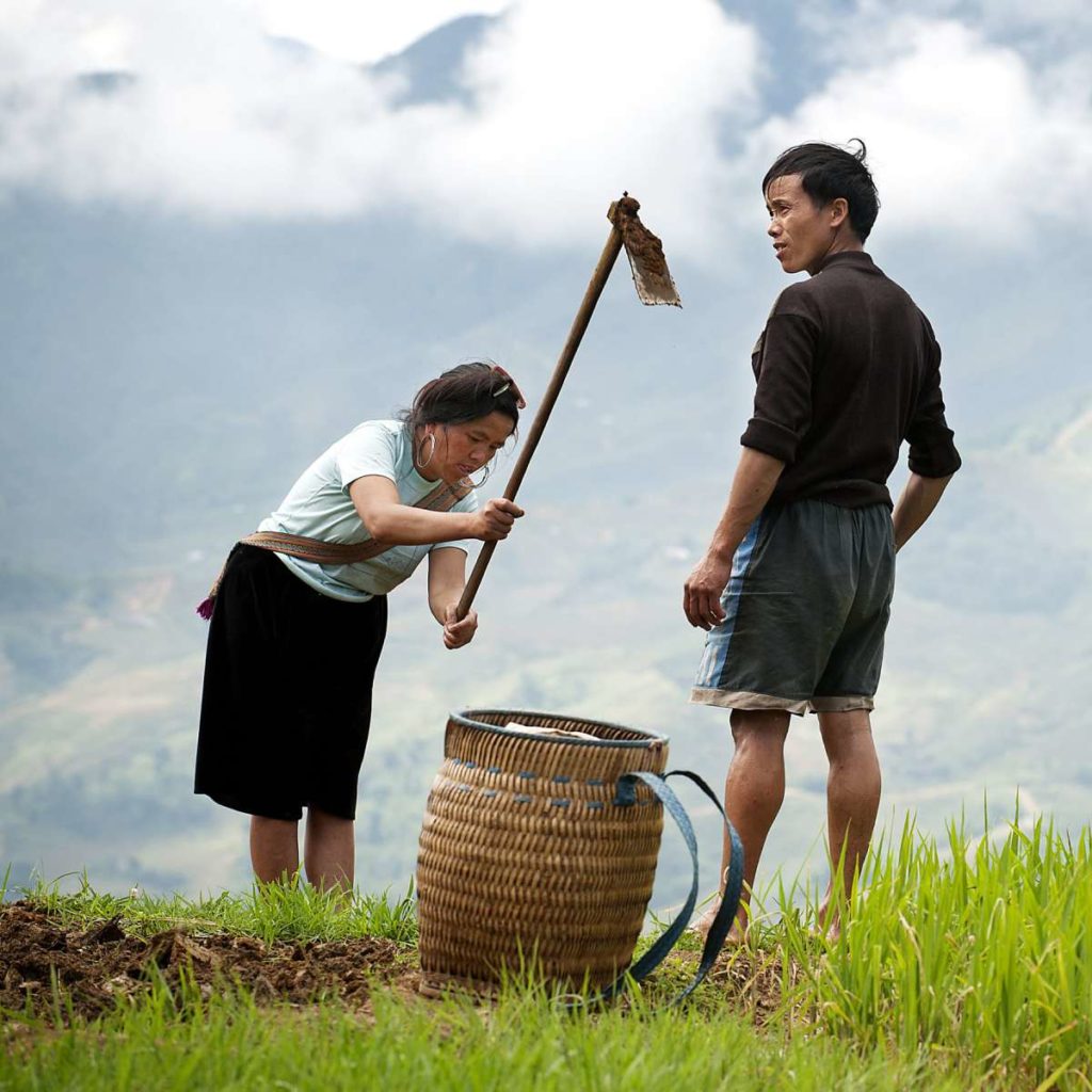 Decent Work and Economic Growth - SDG Academy