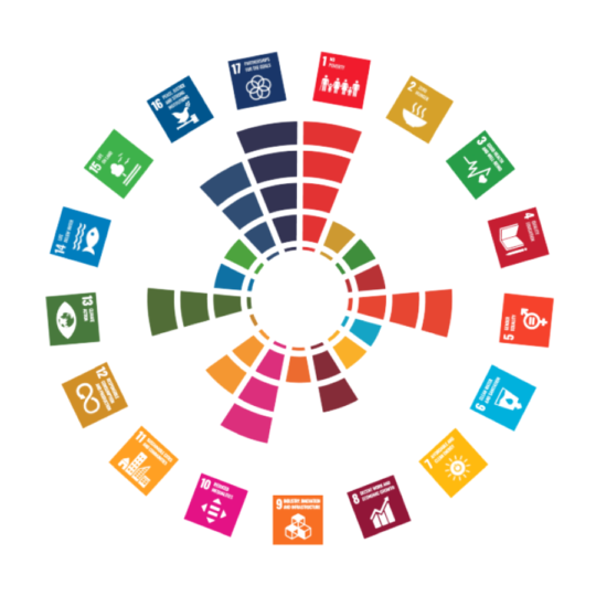 Giselle Weybrecht | Mapping the SDGs in HEIs - SDG Academy