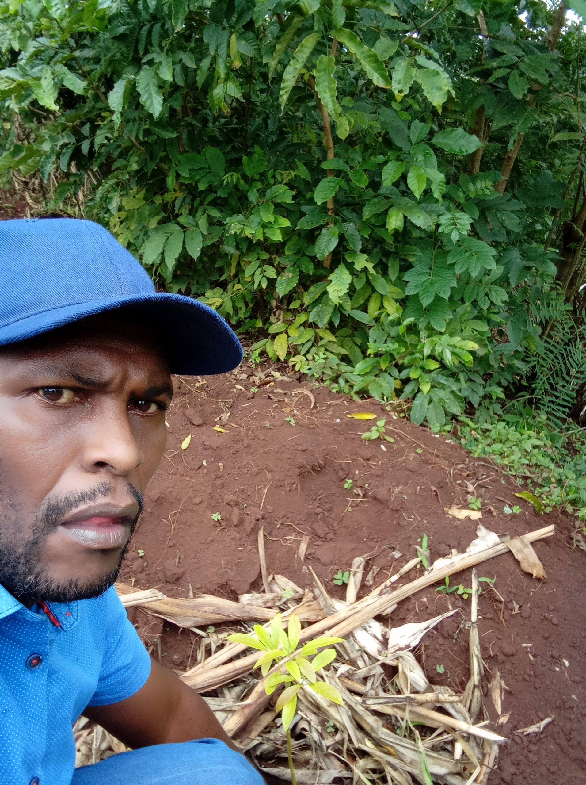 Michael Wanjuzi Makongo | Protecting the environment through Laudato si ...