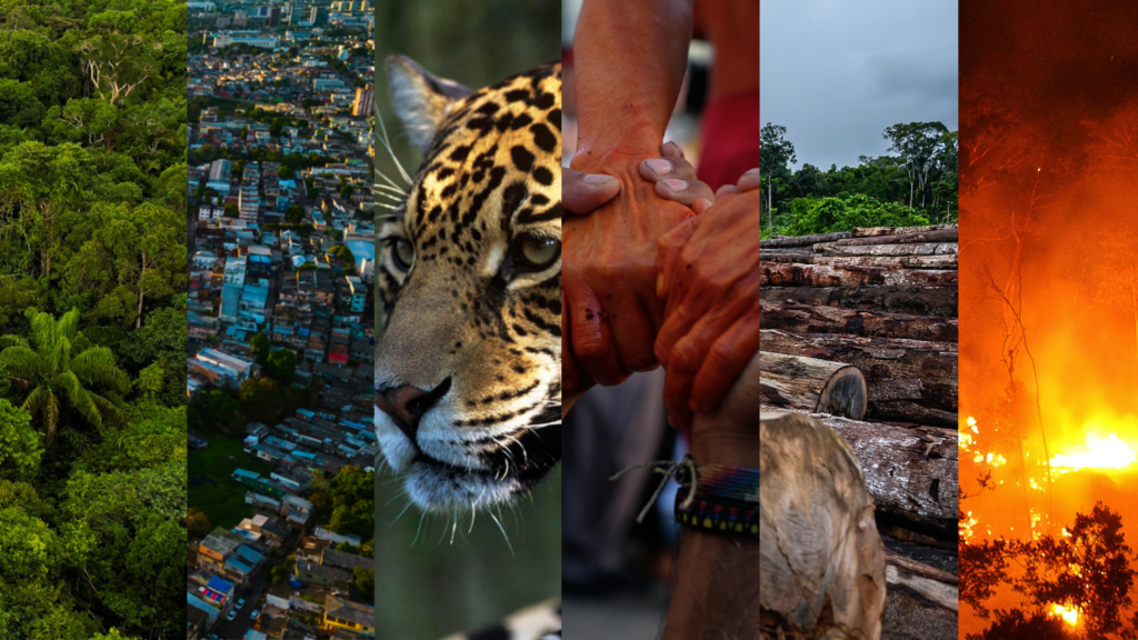 The Living Amazon: Science, Cultures and Sustainability in Practice ...