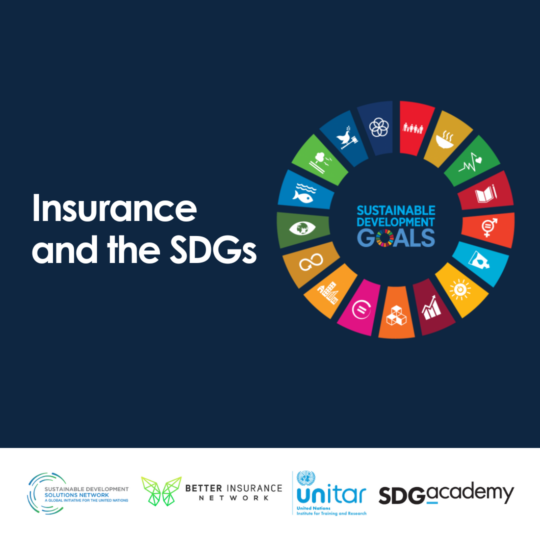 Insurance and the Sustainable Development Goals - SDG Academy